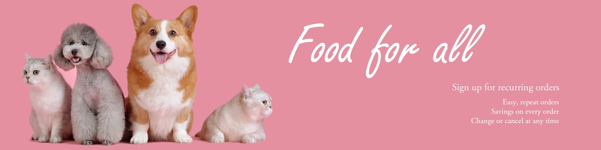 Transcona Veterinary Hospital. Home Page