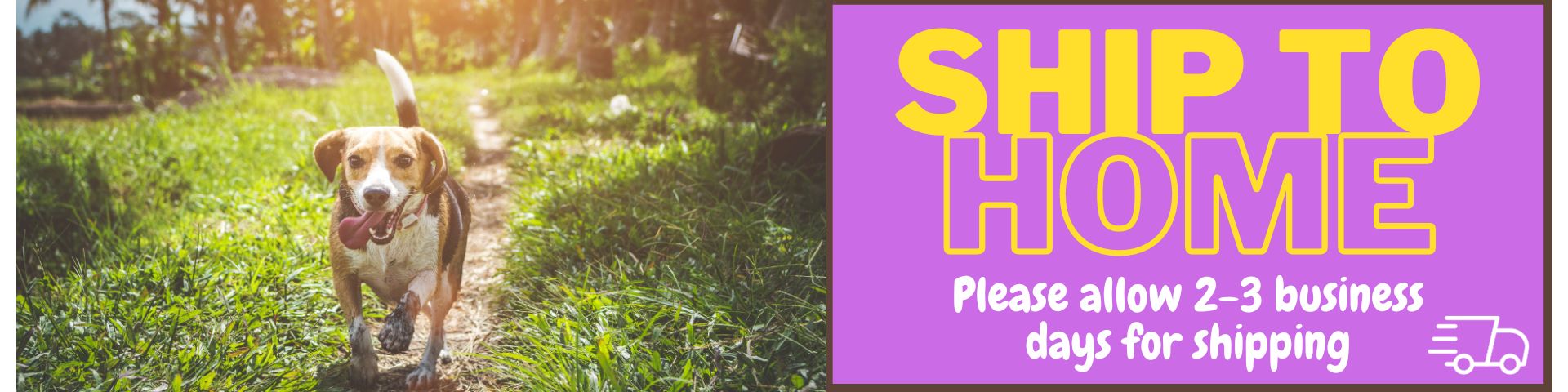 Transcona Veterinary Hospital. Home Page