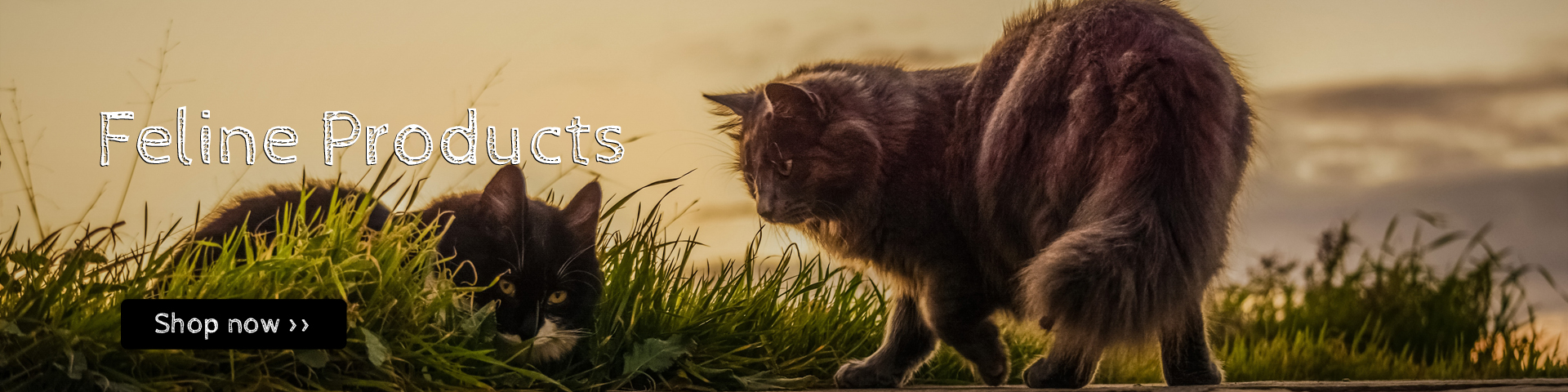 Transcona Veterinary Hospital. Home Page