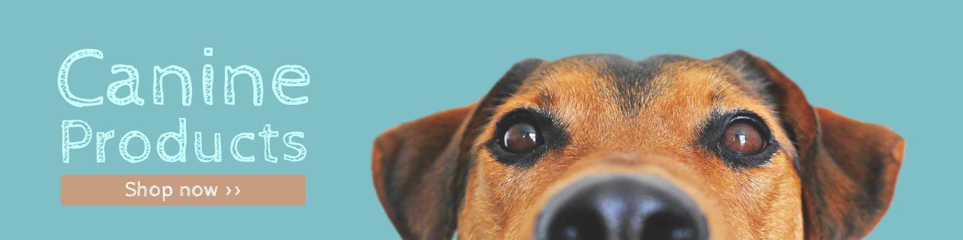 Transcona Veterinary Hospital. Home Page