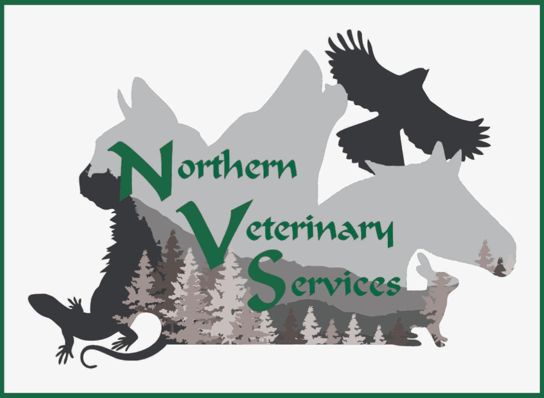 Northern Veterinary Services. Northern Veterinary Services